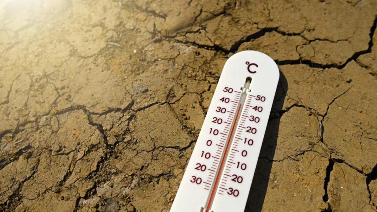 ¿Cuándo comienza la canícula 2025 en México y cómo afectará a ...