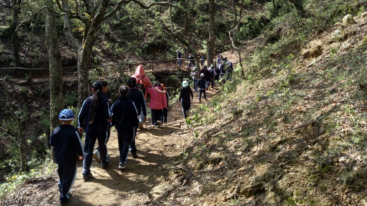 Estudiantes de primaria y secundaria participan en jornadas de ...