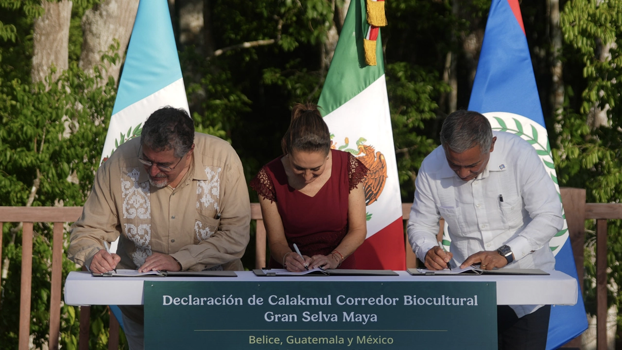 México, Guatemala y Belice crean Corredor Biocultural para proteger la ...