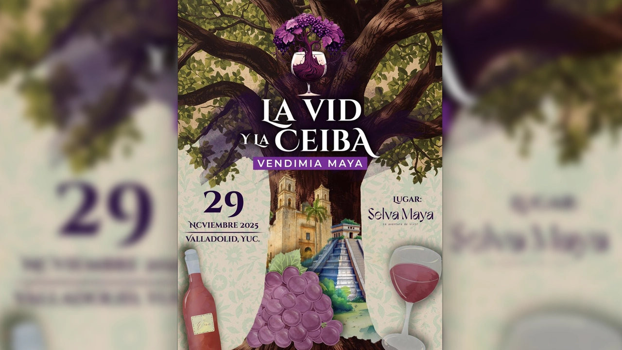Guanajuato llevará su vino y gastronomía a “La Vid y la Ceiba ...