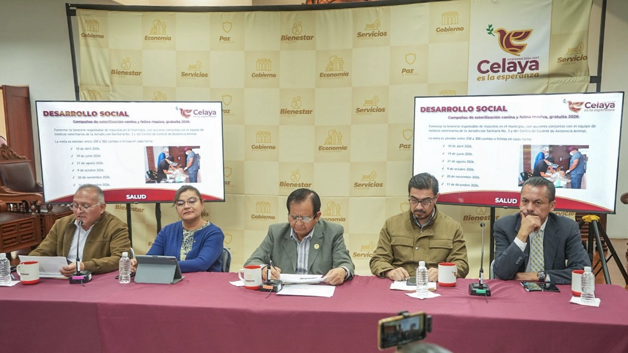 Celaya anuncia calendario 2026 de esterilización gratuita para perros y ...